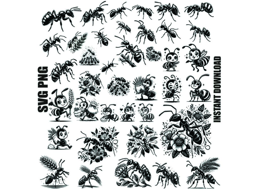 ants svg, insect svg, bug svg, Floral Ants Svg, Cute Ants Svg, Ant ...