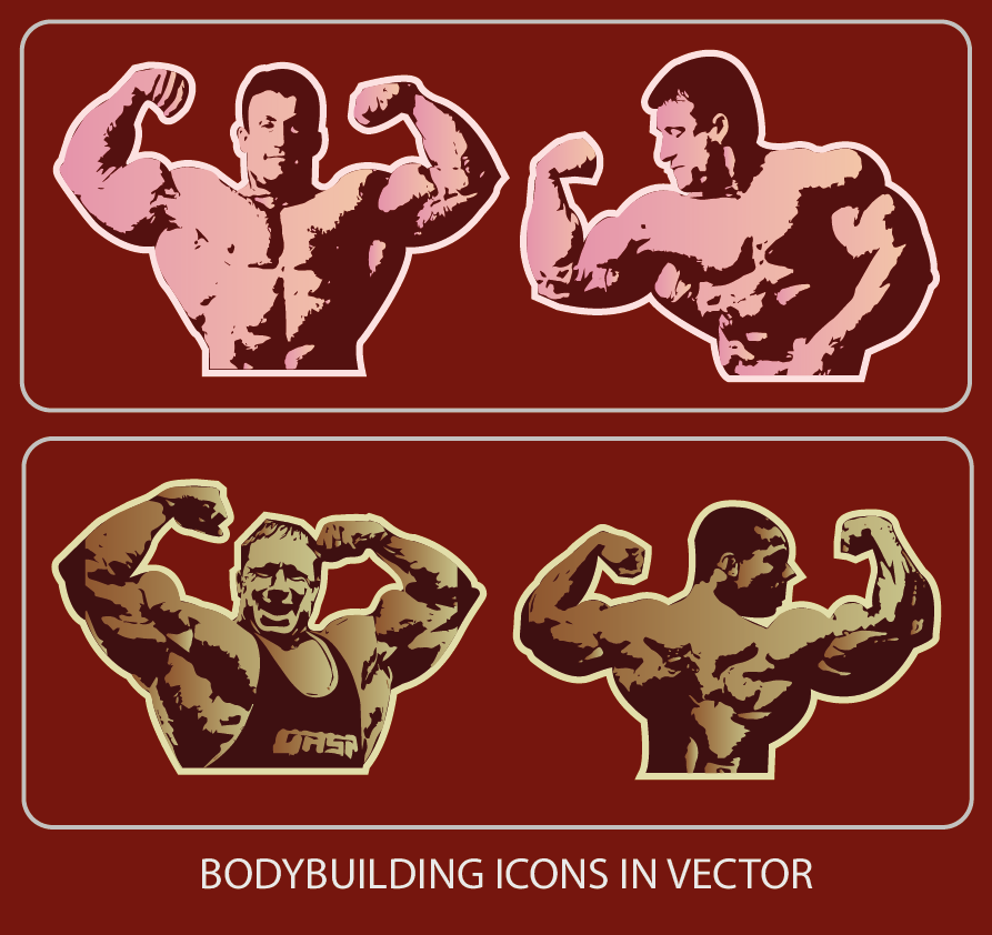 4 high quality body building icons in vector