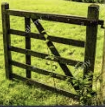 Amazon UK Tech Ungate