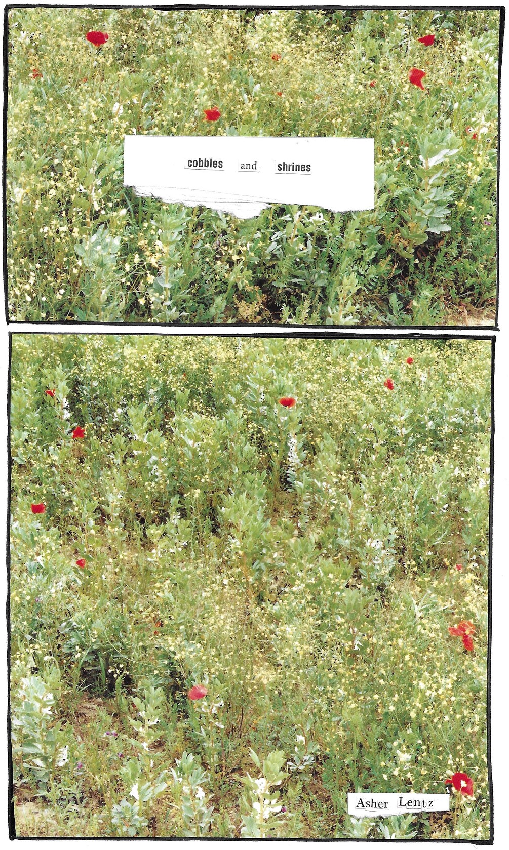 Cobbles and Shrines (PDF)