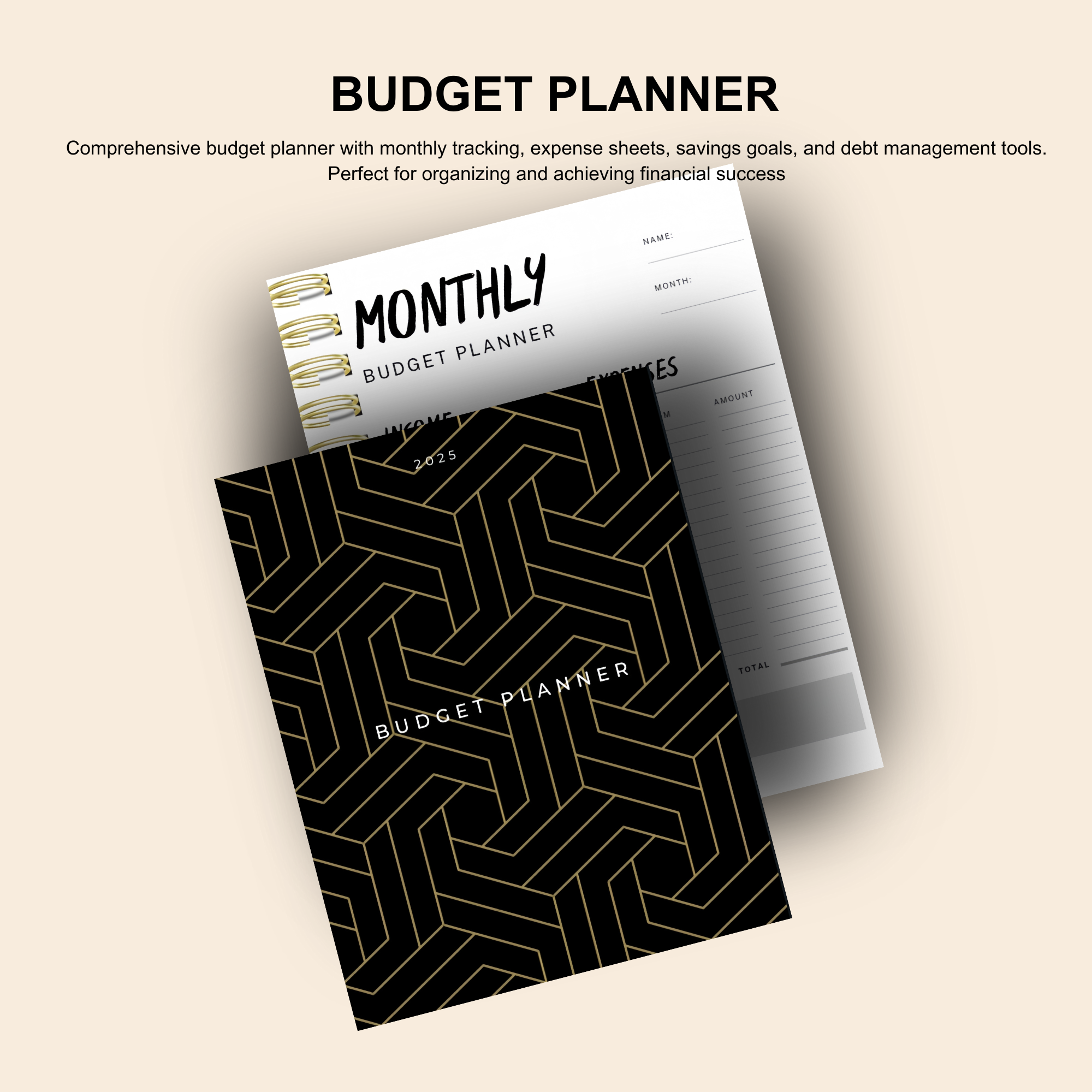 Year dream big budget tracker