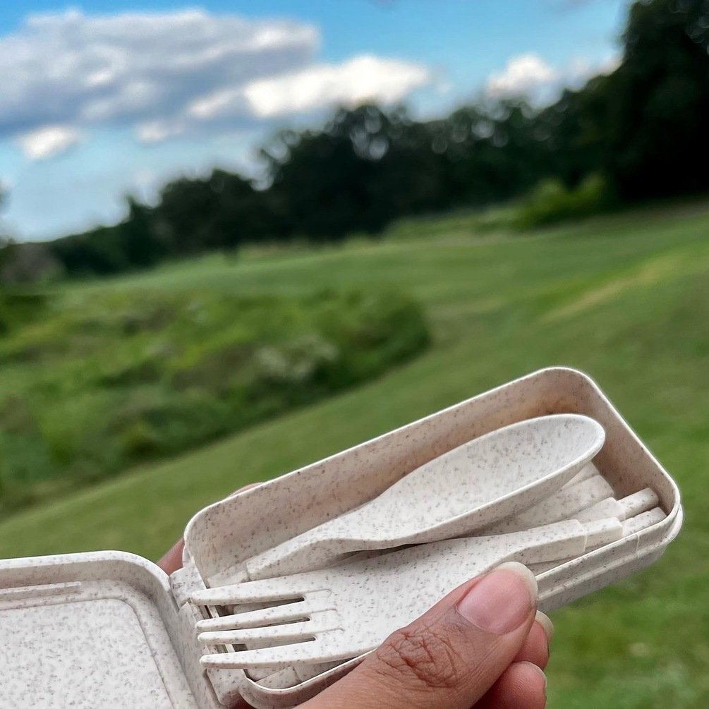 Rendered Reusable Utensil Set