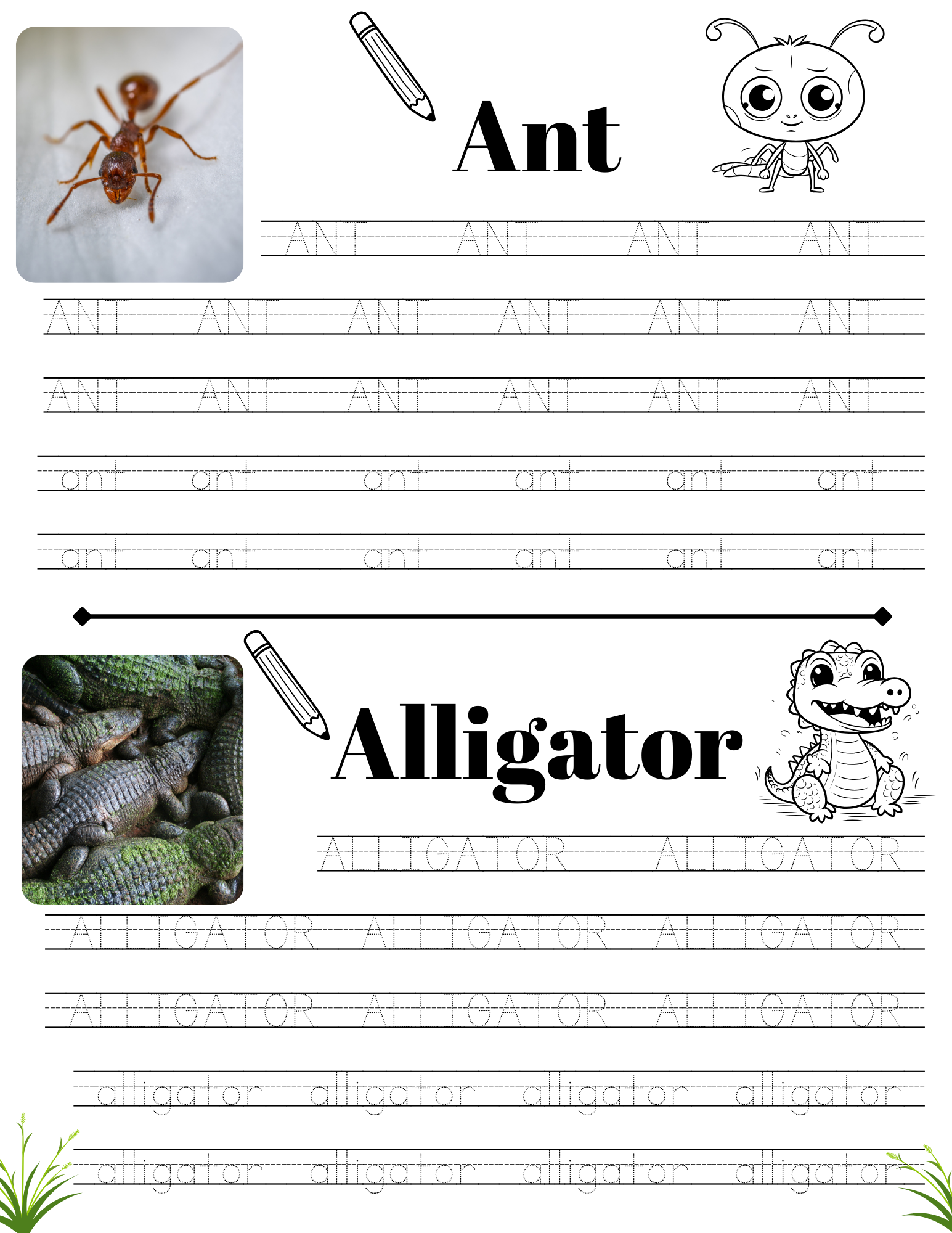 My Alphabet Tracing Book