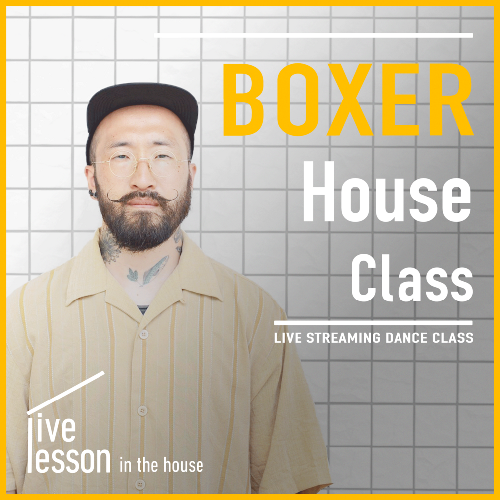 BOXER / HOUSE 】フィードバック