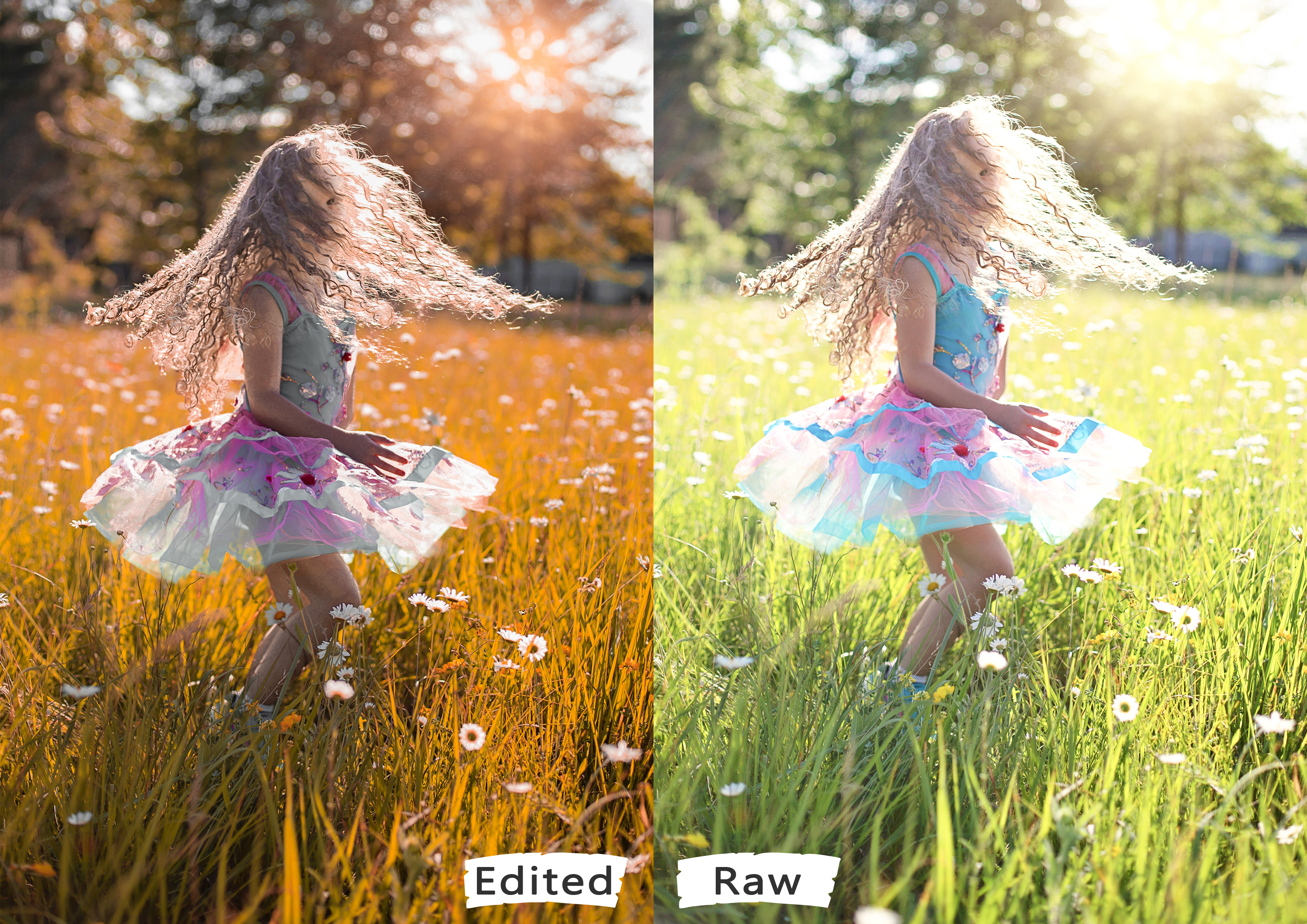 Spring Nature Premium Lightroom Presets & 2 Courses for Beginner to be ...