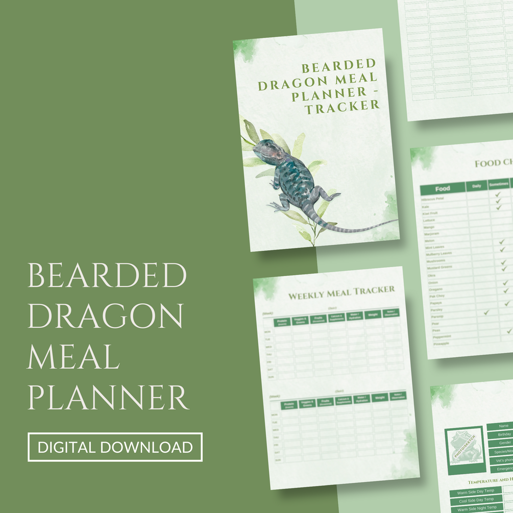 Bearded Dragon Meal Planner | Feeding Tracker | Daily & Weekly Food Journal | Printable PDF