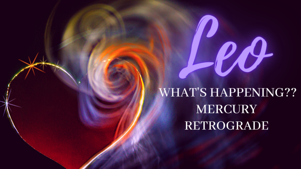 Extended Reading: Leo DECISION! They want to take this to the next ...