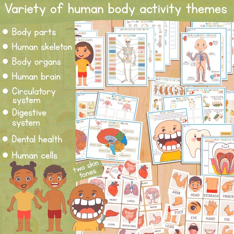 Human Anatomy Busy Book Printable