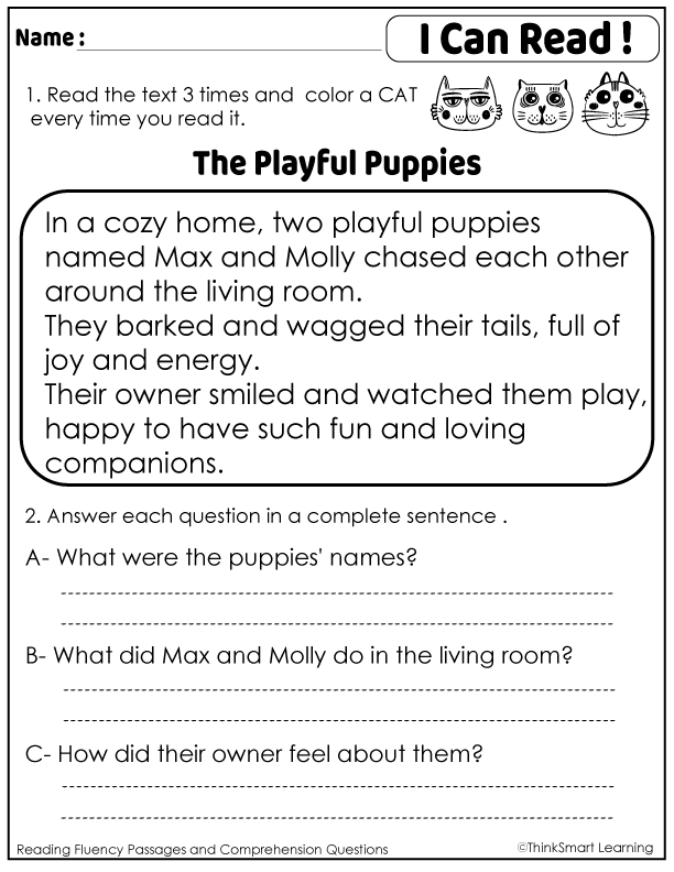 Reading Fluency Passages and Comprehension Questions 1