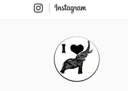 I love Elephants Instagram Profile photo
