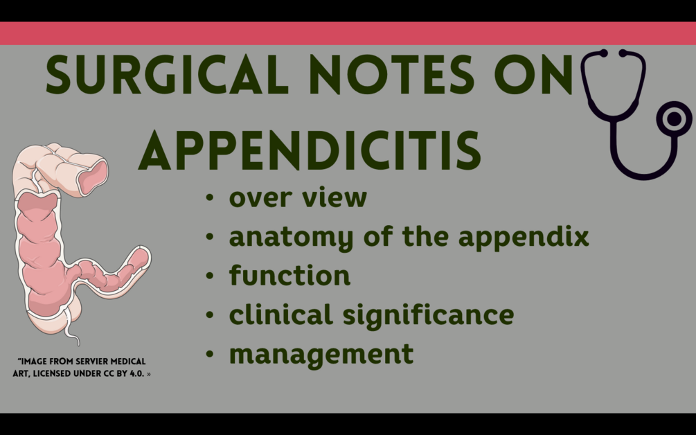 Appendix Presentation Template