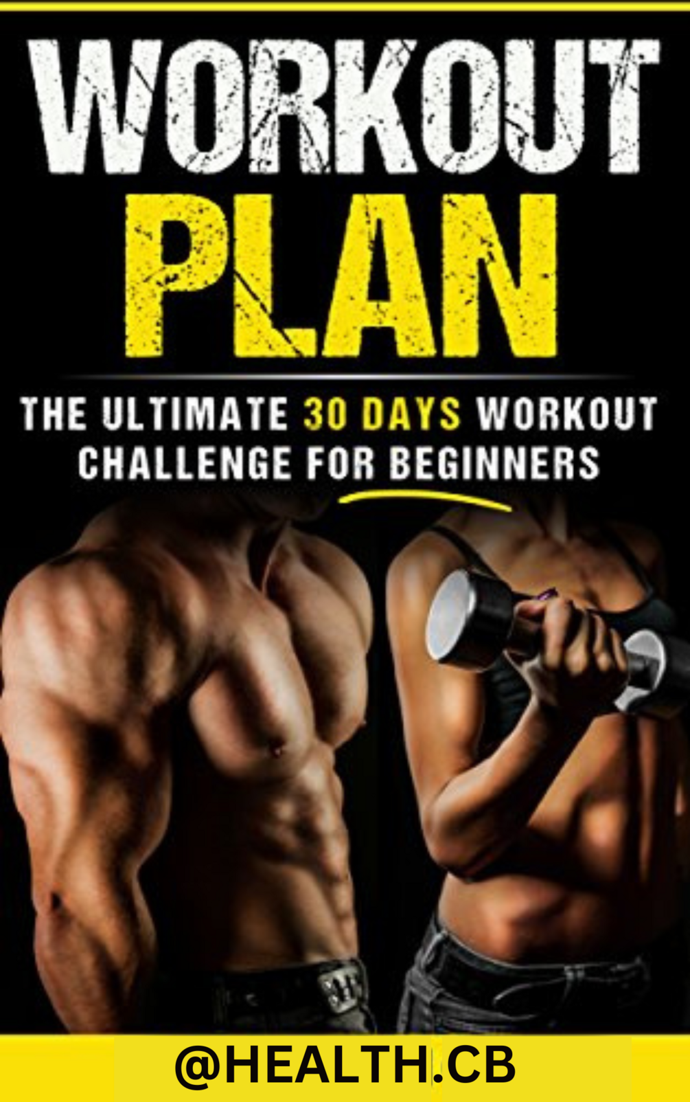 Workout Plan Zero To Hero For Beginners