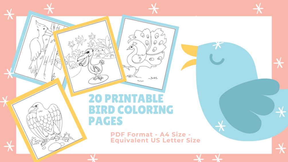 Feathered Fantasies: 20 Stunning Bird Coloring Pages