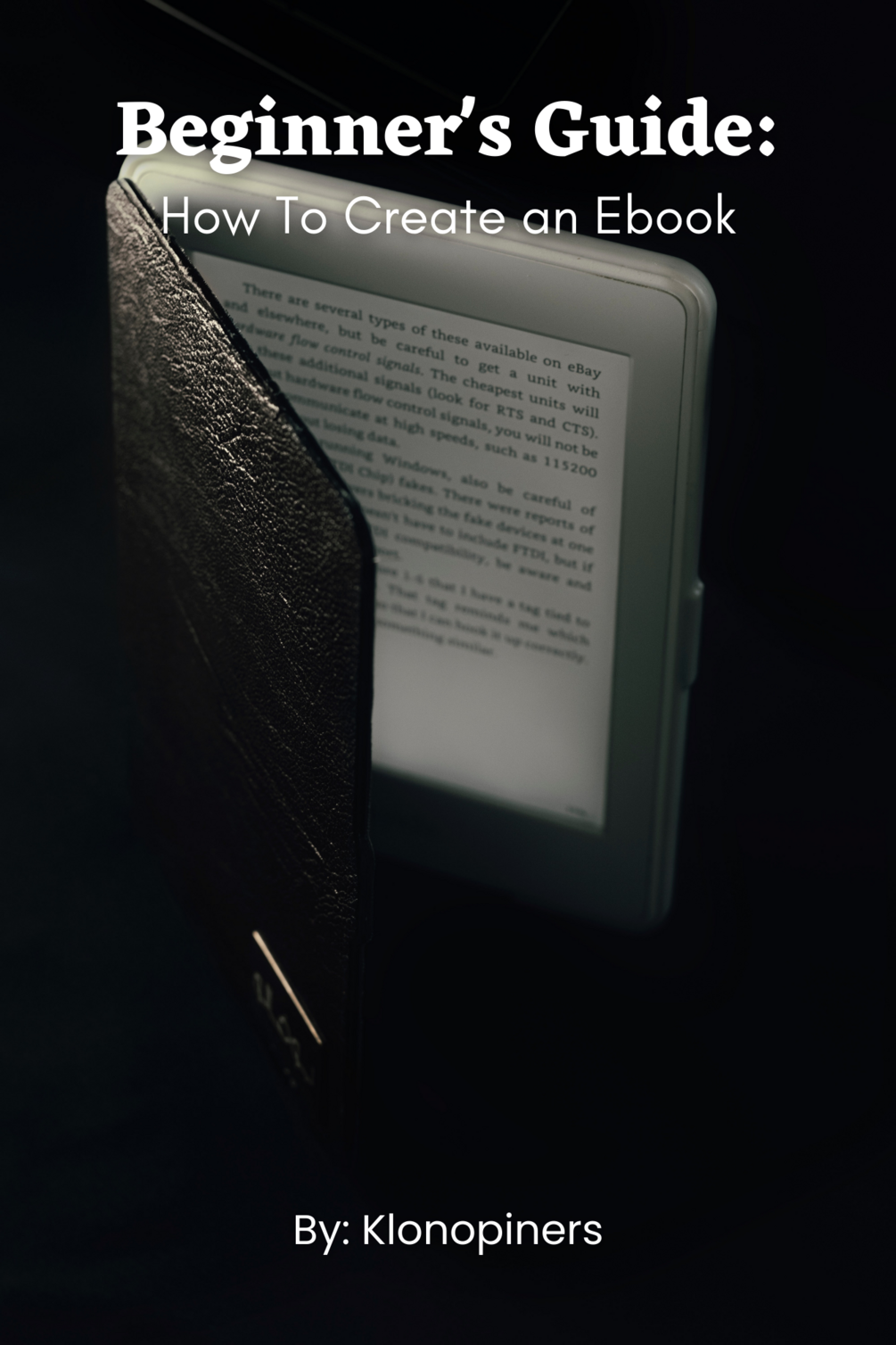 Beginner s Guide To Make An Ebook