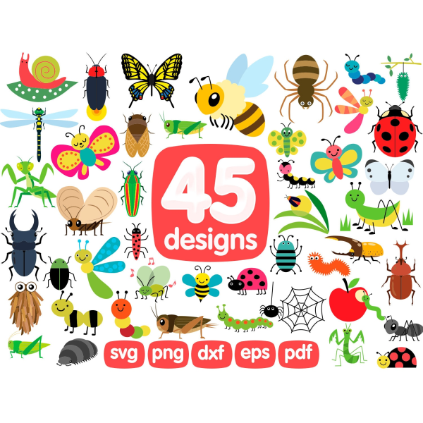 INSECT SVG, butterfly svg, insect clipart, dragonfly svg, bug svg ...