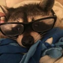 CLIP STUDIO PAINT v1 | textured crispy brush pack by ayeoops