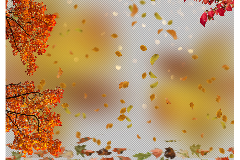 400 Autumn tree branch overlays, foliage overlay, leaves overlay ...