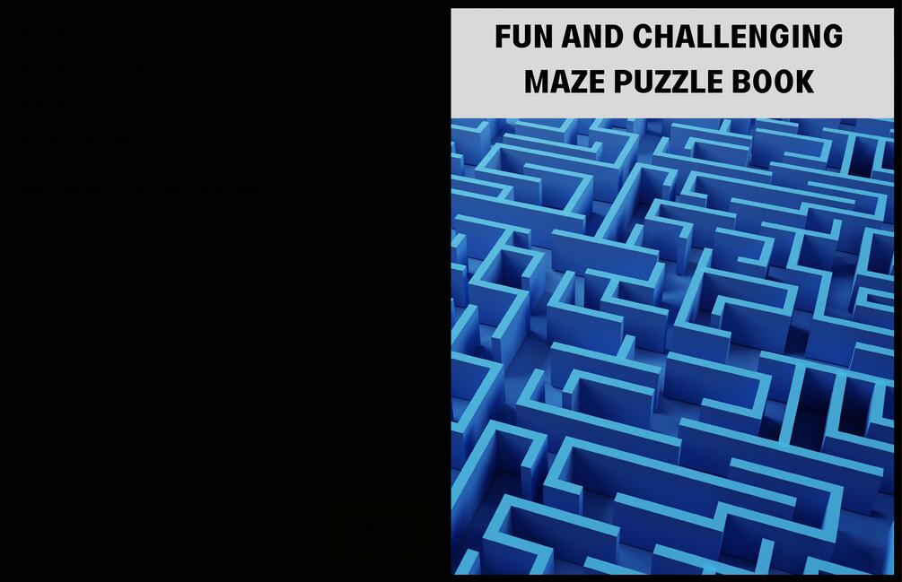 FUN AND CHALLENGING MAZE PUZZLE BOOK