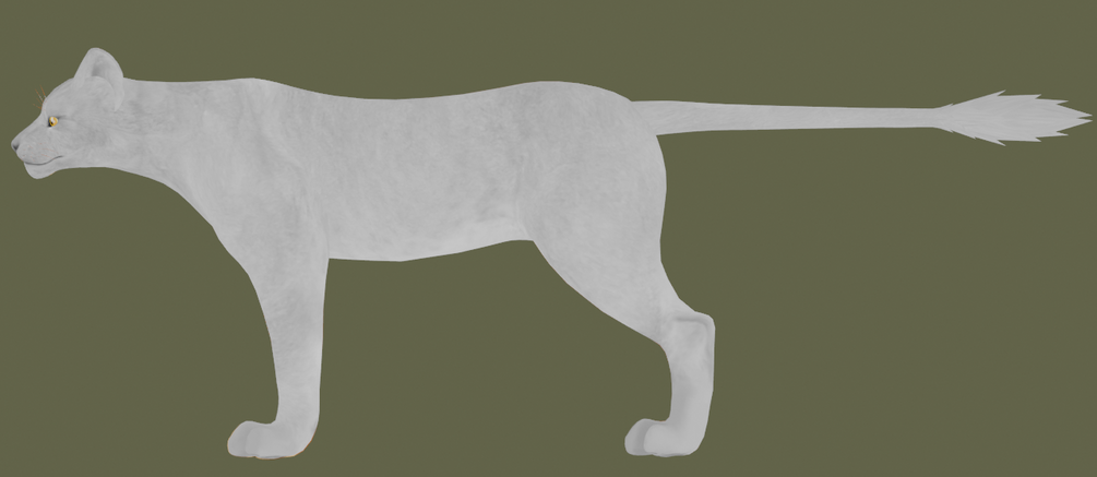 FHU Summer Coat Texture