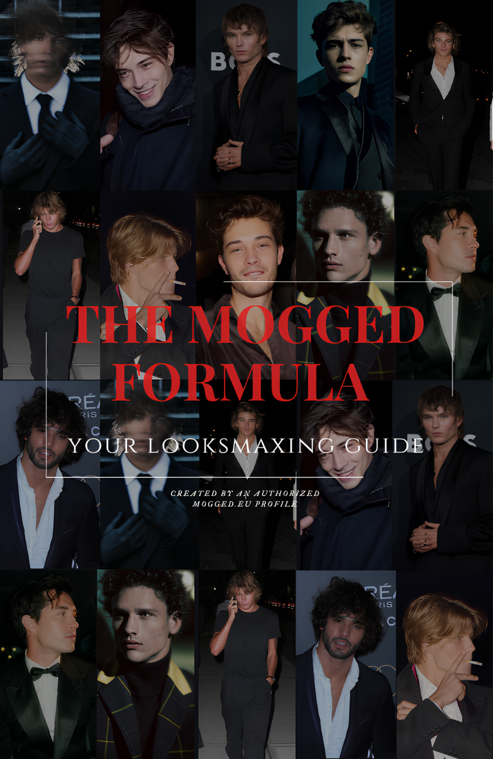 Mogged.eu - A Looksmaxxing Guide