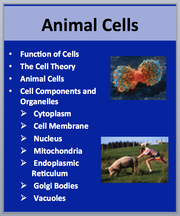 Animal Cells - PowerPoint Lesson and Student Notes Package