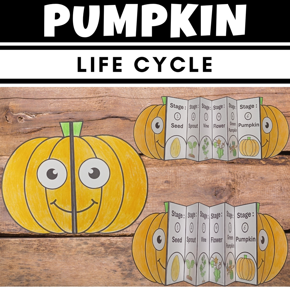 Pumpkin Life Cycle Craft | Kindergarten STEM Activity Worksheets | Fall ...