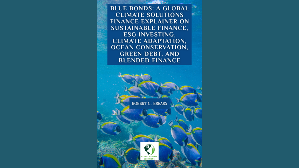 Blue Bonds: A Global Climate Solutions Finance Explainer on Sustainable ...