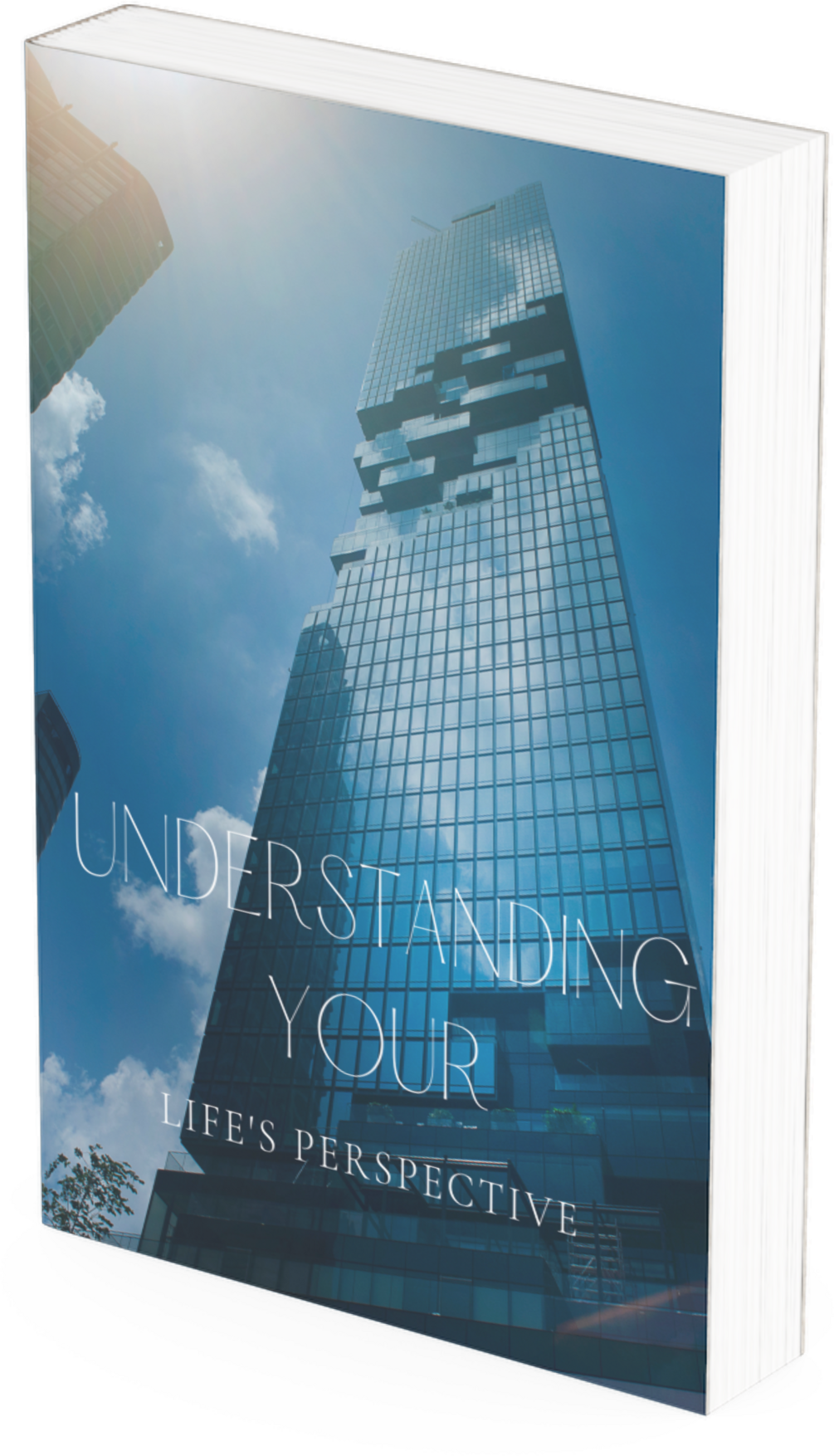 Understanding Your Life's Perspective