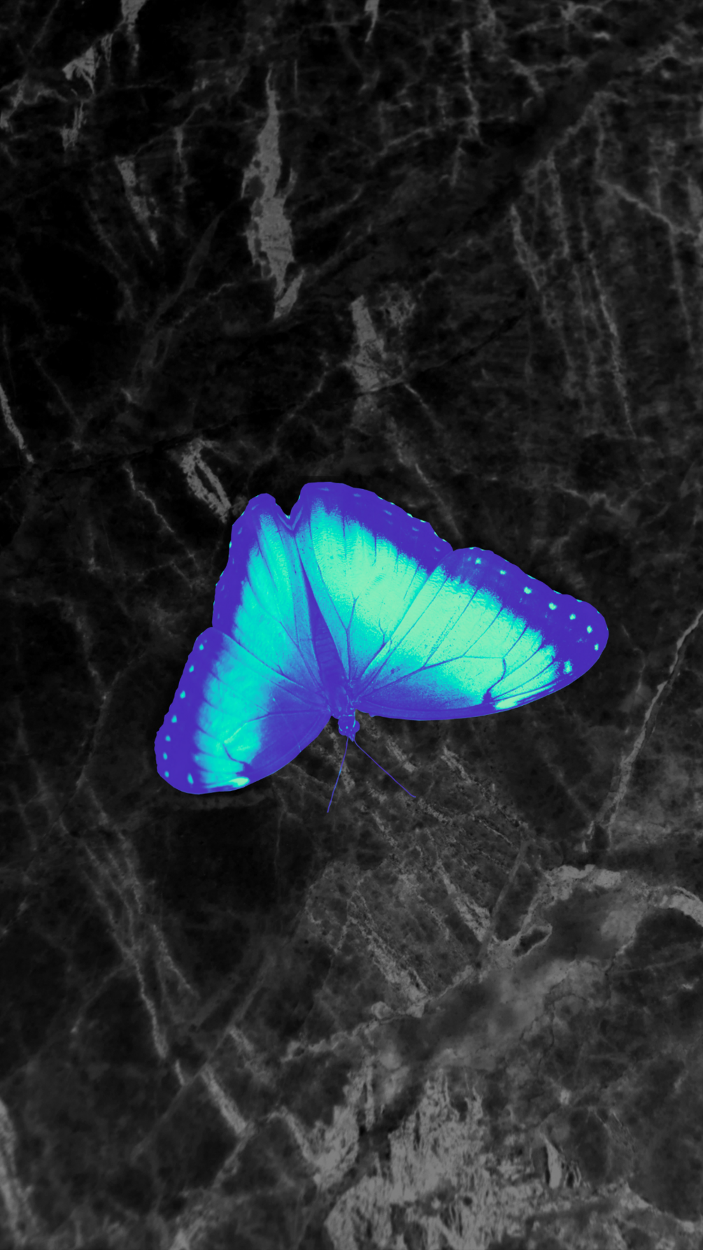 MARBLE FLOWS - a project by XAVIER HOLLIDAY