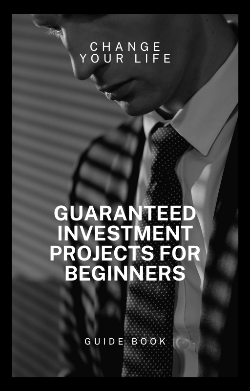 Successful investment projects for beginners