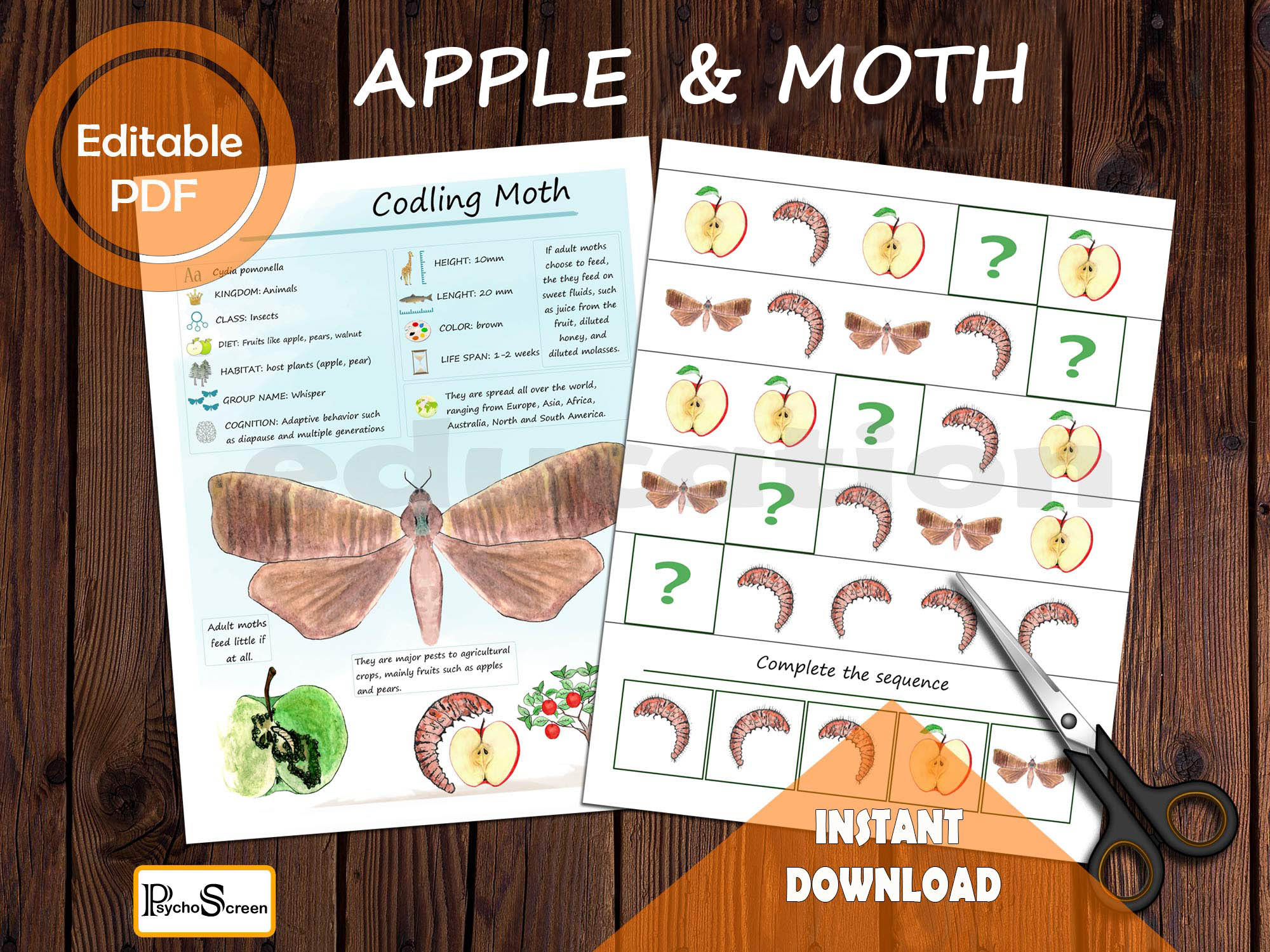 APPLE unit study, anatomy, life cycle and MOTH poster