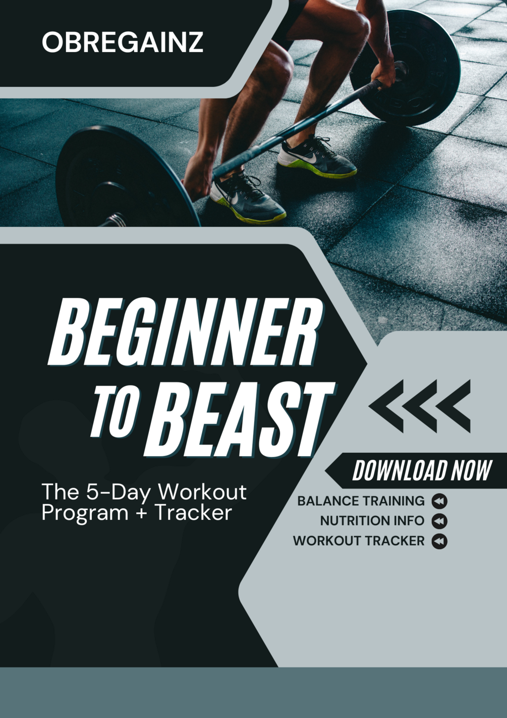 Beginner To Beast - The 5 Day Workout Program + Tracker