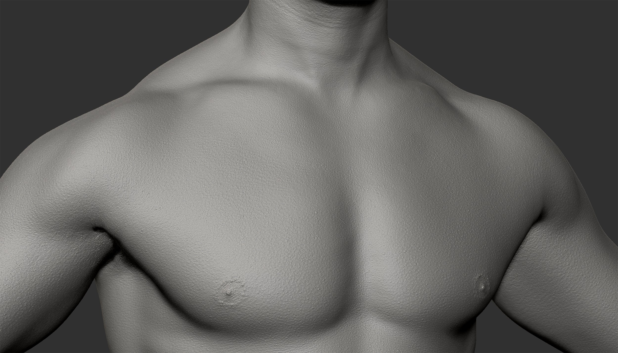 Animation Ready Body Scan / Male 01