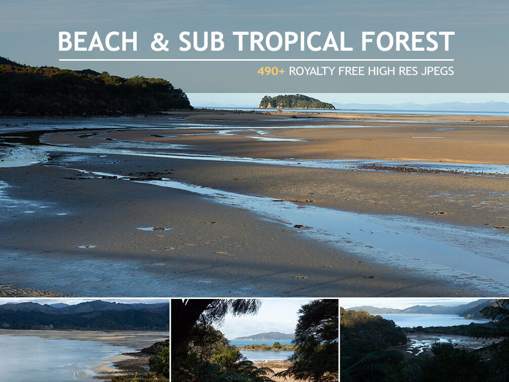 BEACH & SUB TROPICAL FOREST