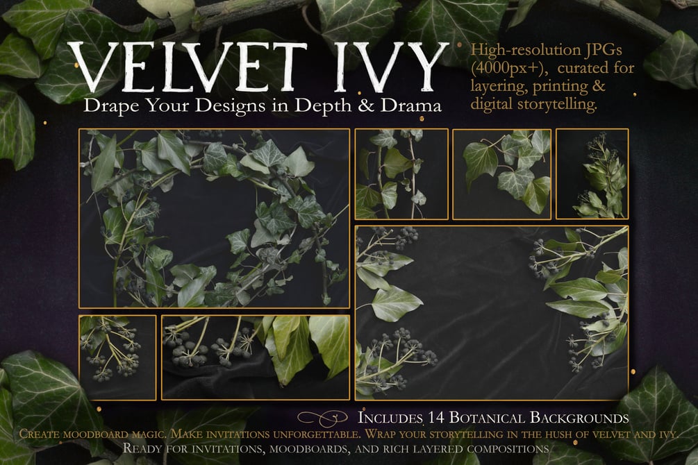 Velvet Ivy – Botanical Backgrounds & Gold Calligraphy Overlays