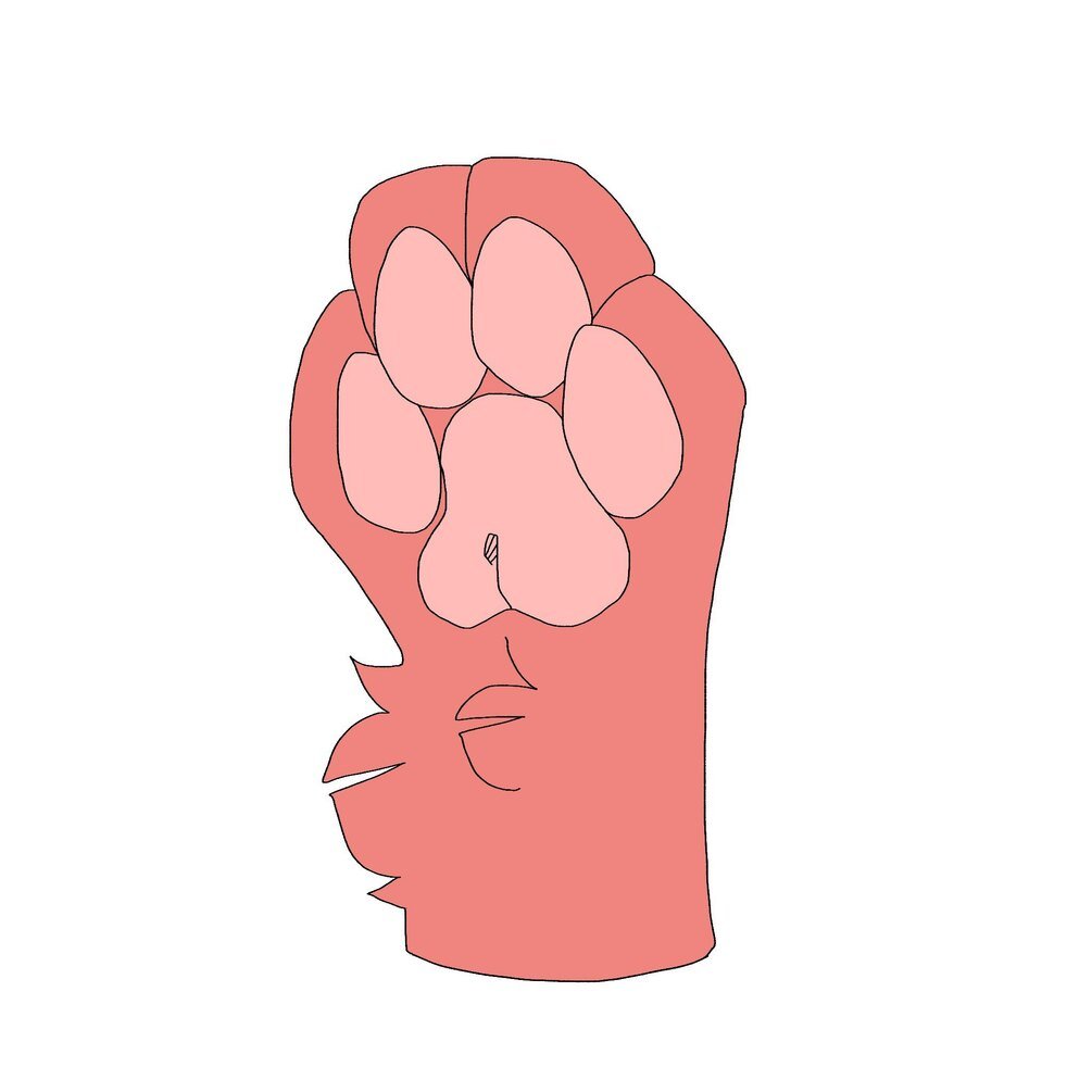 Paw Base