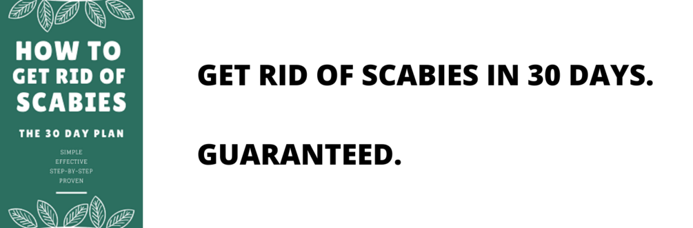 How To Get Rid Of Scabies
