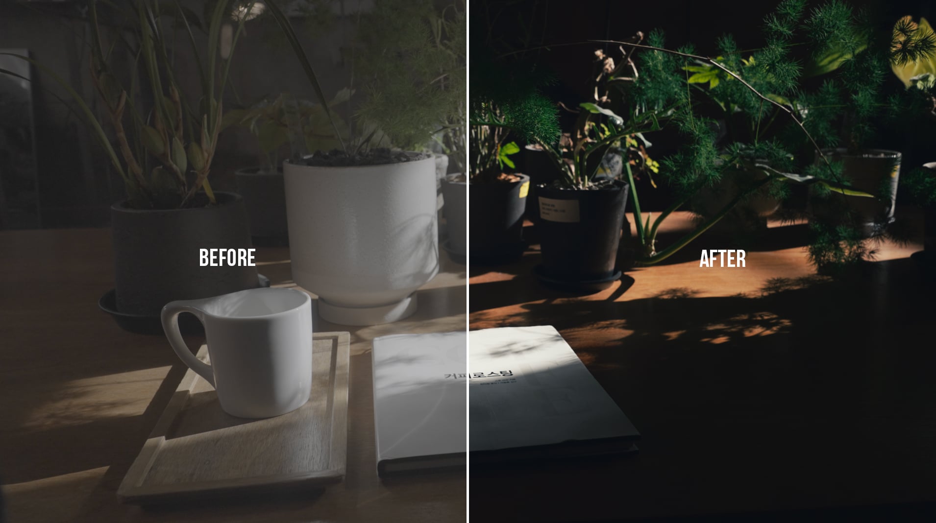 Color Grading | PowerGrade Library
