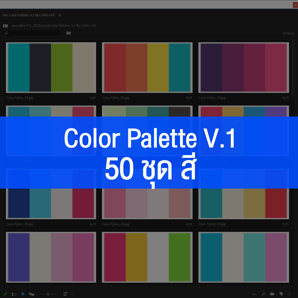 ชุดสี 50 ชุด เป็นไฟล์รูปภาพ ใส่ได้ทุกโปรแกรม Color Palletes V.1