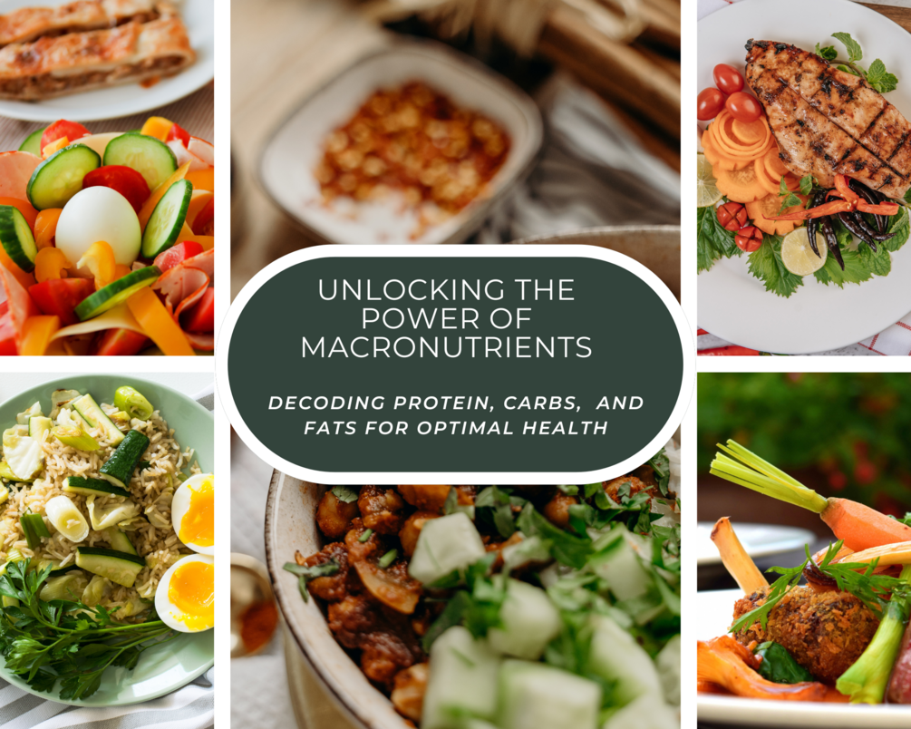 Unlocking the Power of Macronutrients: Decoding Protein, Carbs, and ...