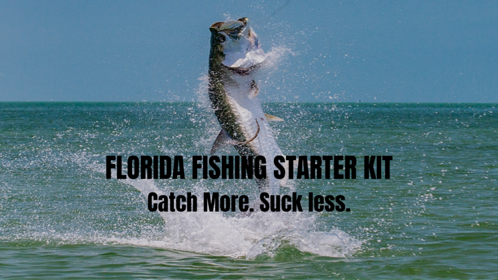 👉 Florida Fishing Starter Kit — Region-by-Region Guide to Catch More ...