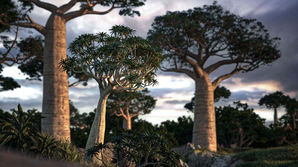 Maxtree Plant Models Vol 41