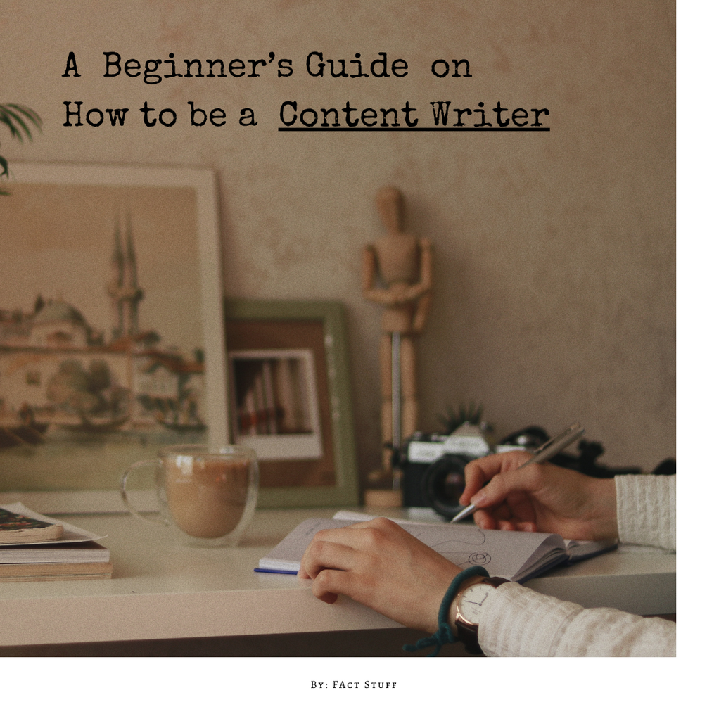A Beginner’s Guide on How to be a Content Writer