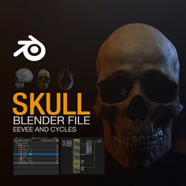Human Skull - Blender