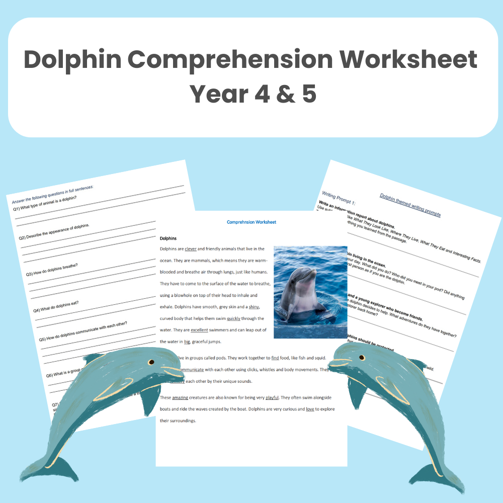 Dolphin Comprehension Worksheet Yr 4 - 5