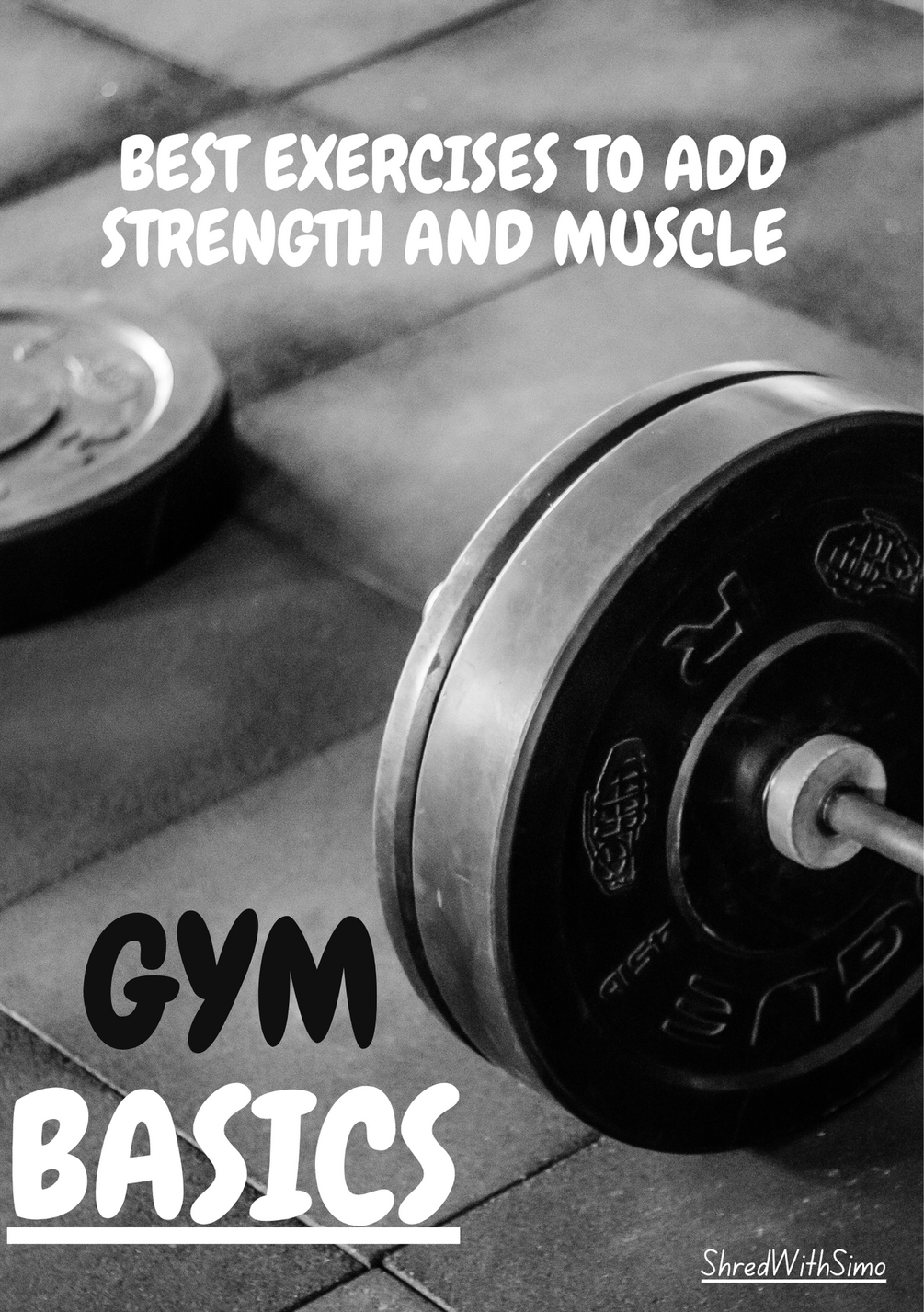 Gym Basics