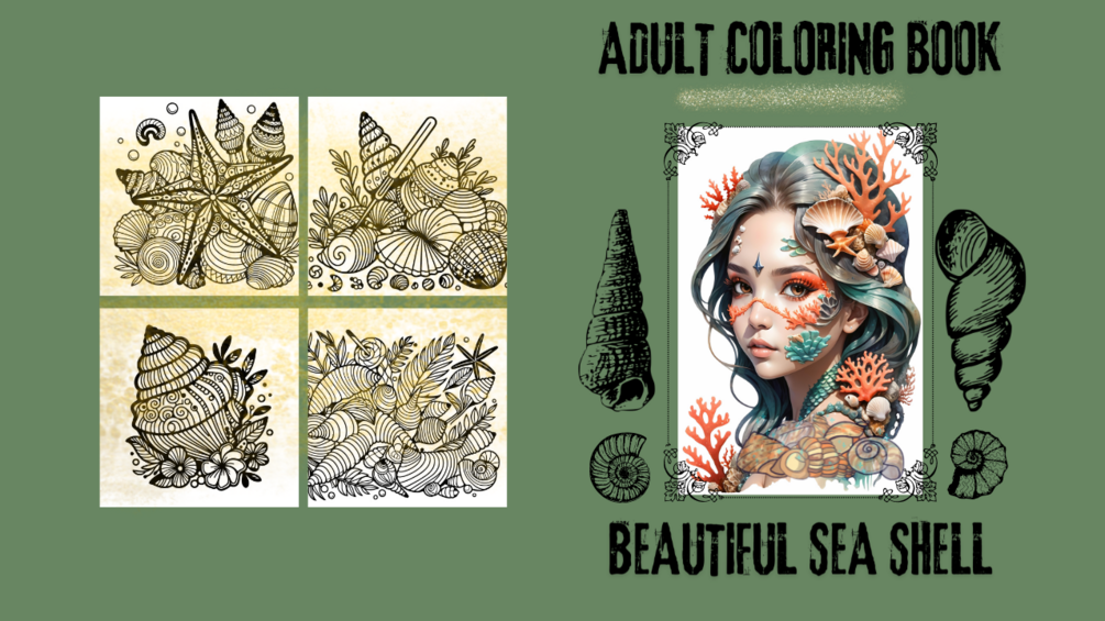 Coloring Book Beautiful Sea Shell