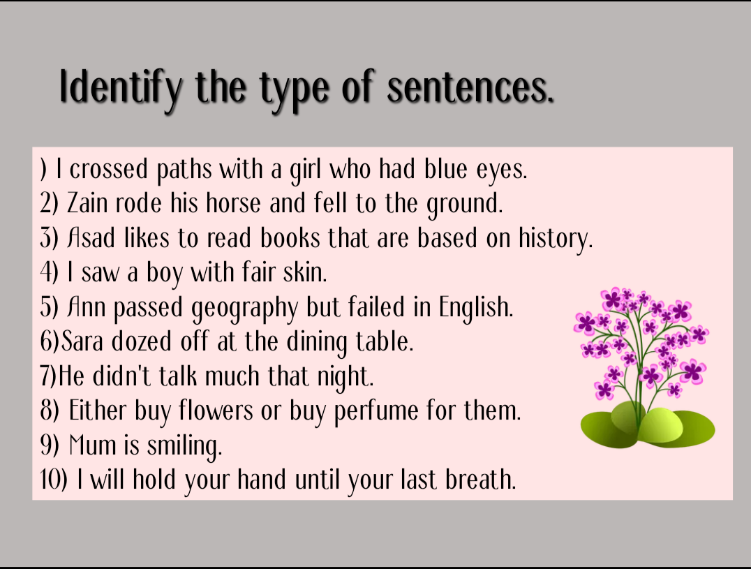 Types of sentences worksheet (grade 1-3)