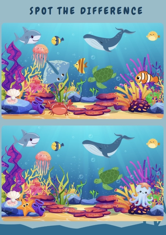 Sea Animal Busy Book
