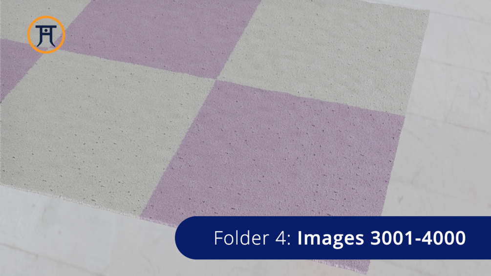 Carpet Images 3001-4000 (Folder 4 of 10)